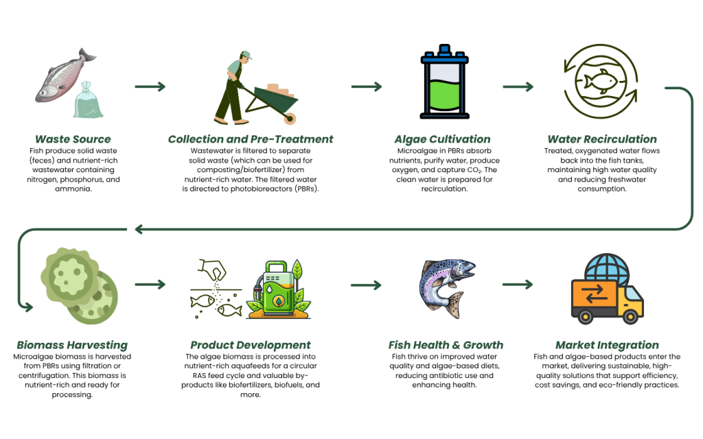 Aquaculture – Rainforest Algae